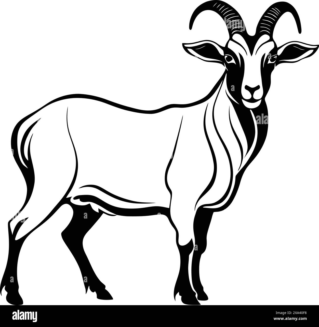 Baby goat isolated Black and White Stock Photos & Images - Alamy