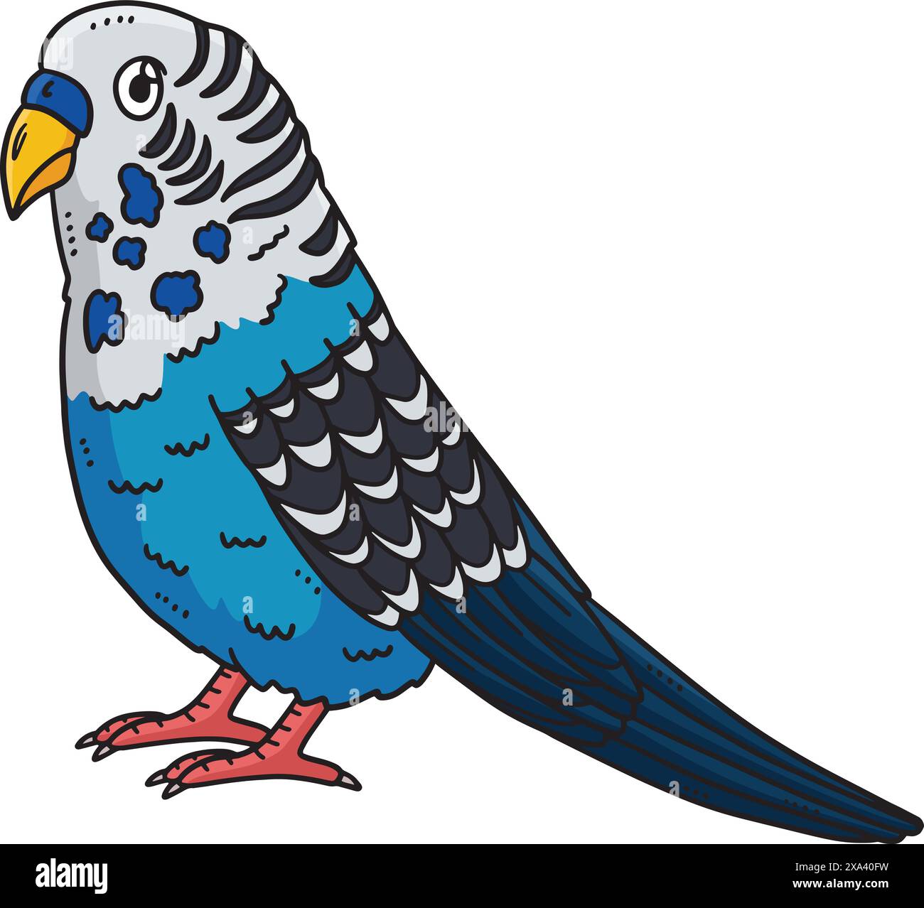 Paraquet paroquet Stock Vector Images - Alamy