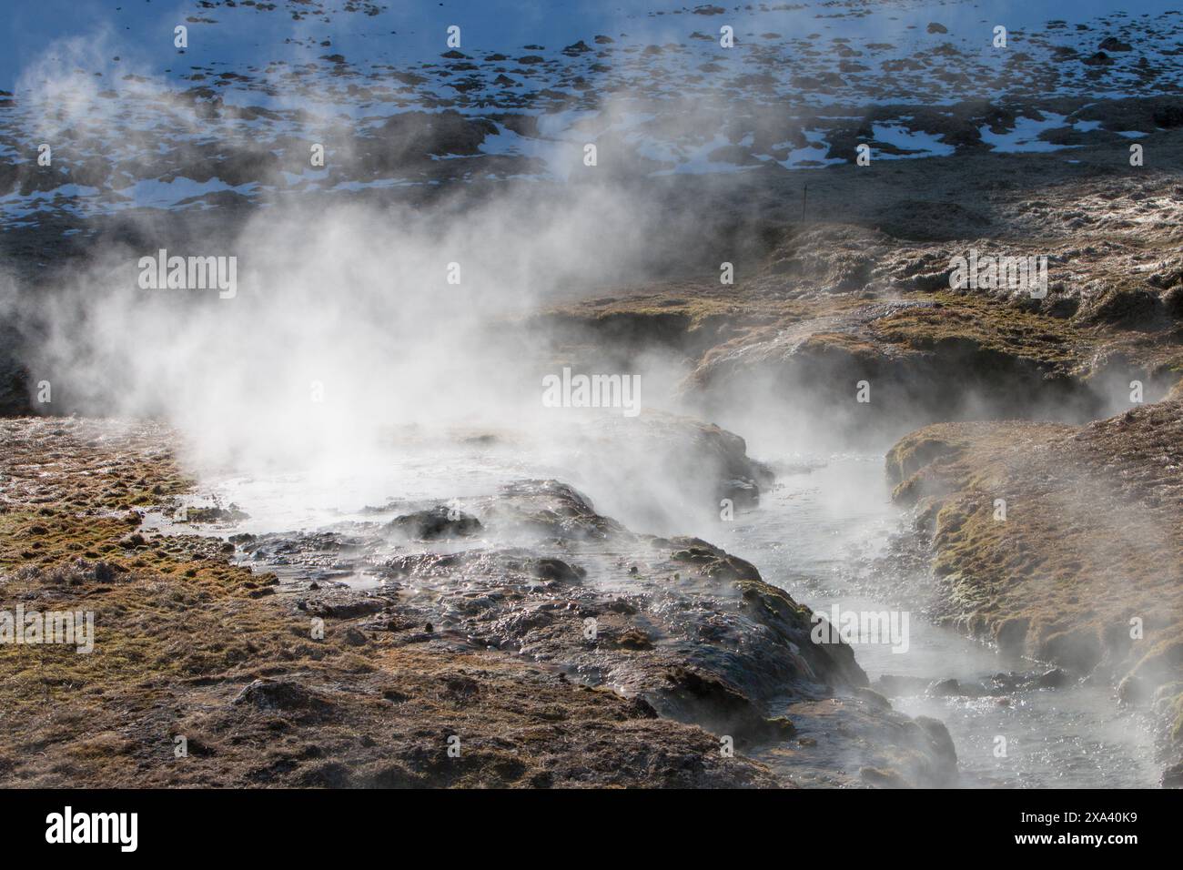 Steam rising from geothermal springs in Southern Iceland. 2024 Stock ...