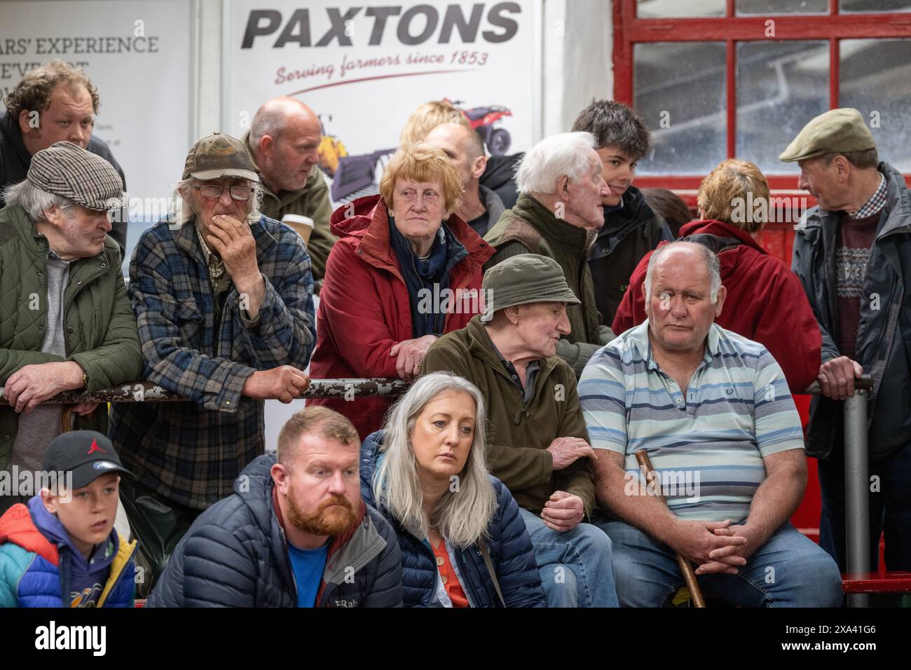 Hawes livestock auction market wensleydale hi-res stock photography and ...