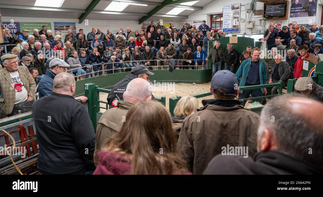 Hawes livestock auction market wensleydale hi-res stock photography and ...
