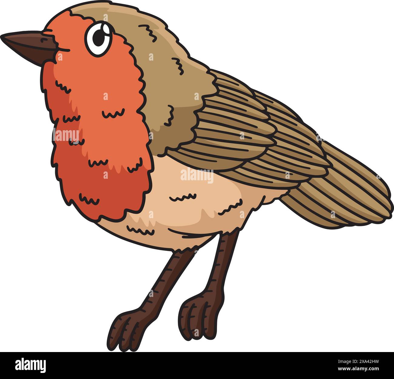 European robin bird clipart Stock Vector Images - Alamy
