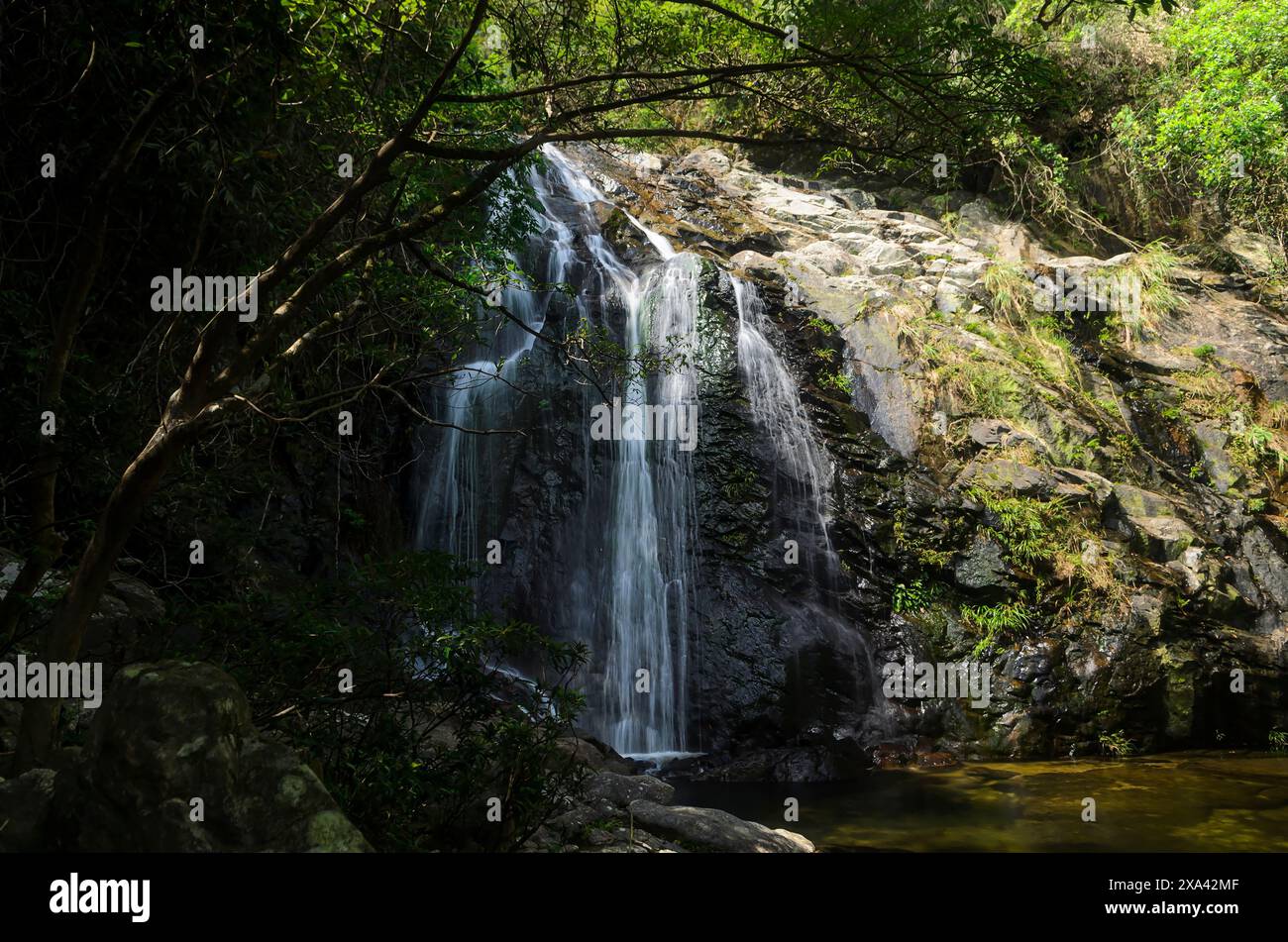 streams and waterfalls on the mountains of Hong Kong. The Pingnam ...