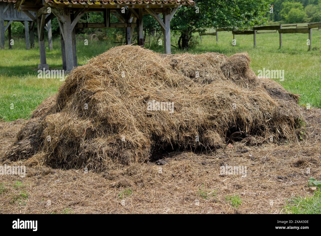 stack of hay in full sun on a farm in the moors Stock Photo - Alamy
