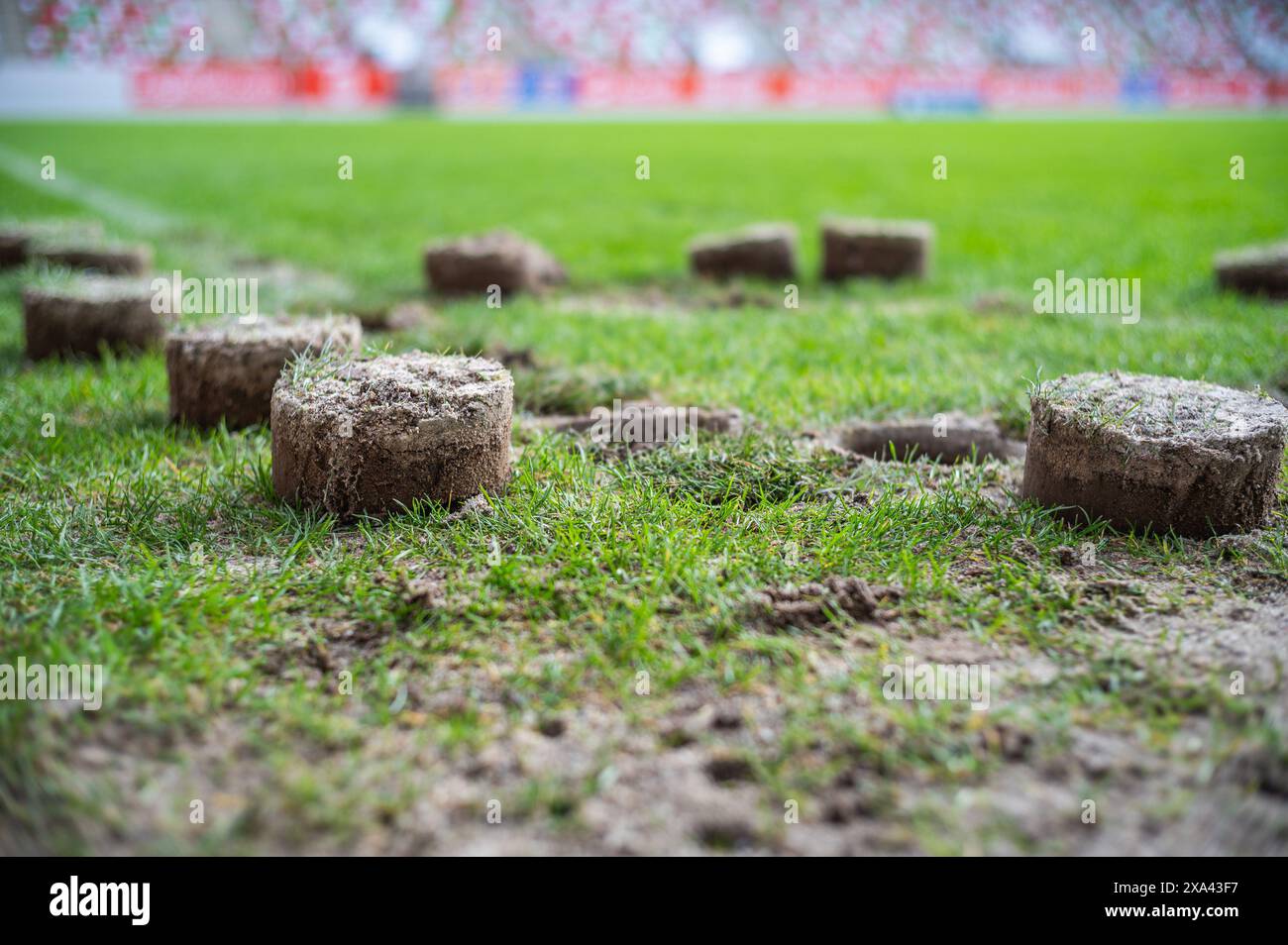 repair of turf at the football field Stock Photo - Alamy