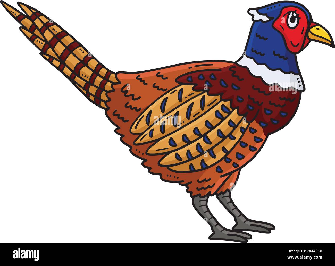 Common Pheasant Bird Cartoon Colored Clipart Stock Vector Image & Art ...