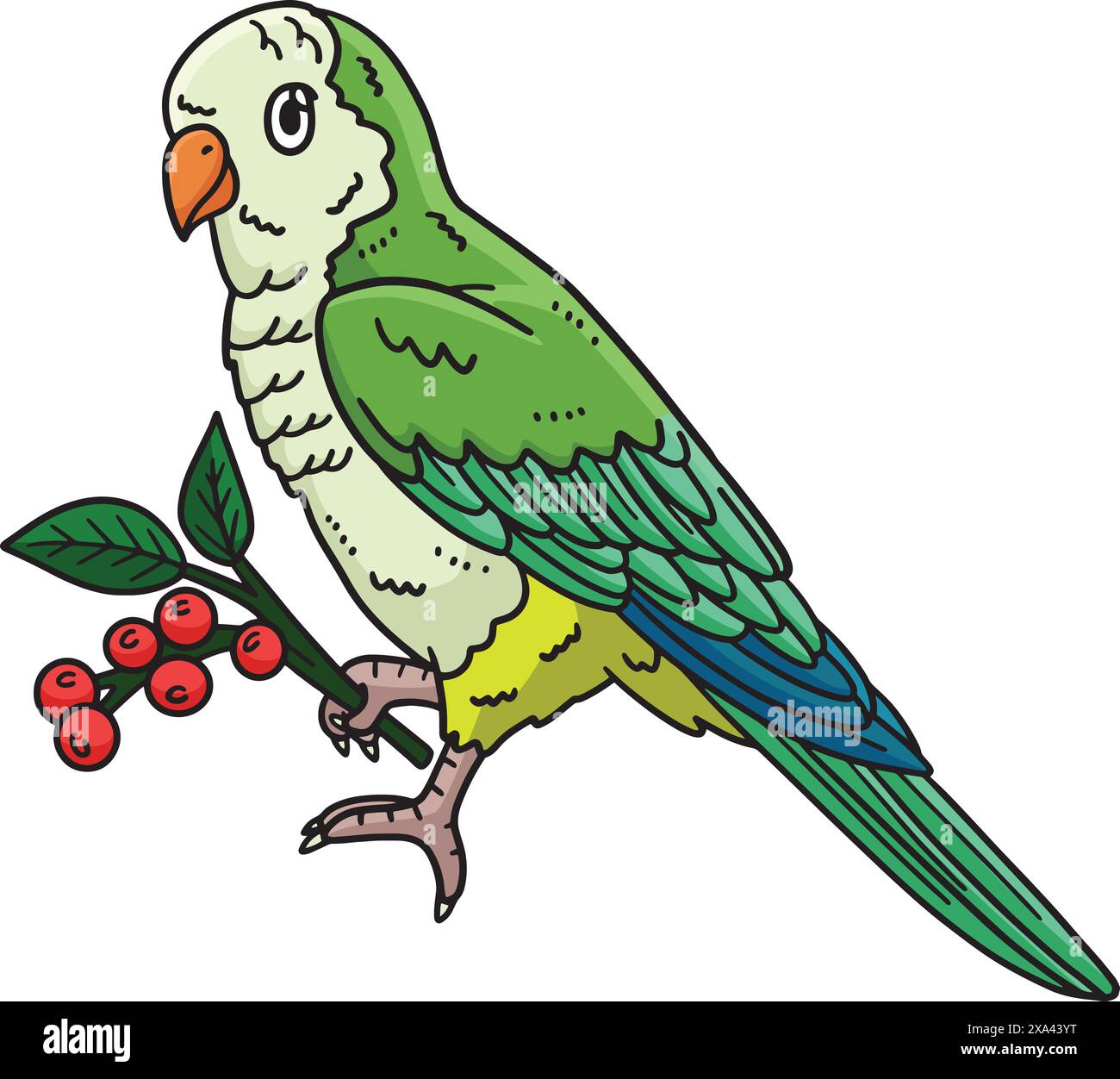 Monk Parakeet Bird Cartoon Colored Clipart Stock Vector Image & Art - Alamy