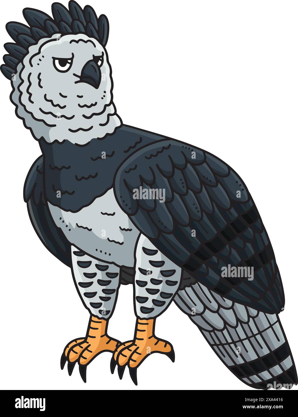 Harpy eagle american eagle hi-res stock photography and images - Alamy