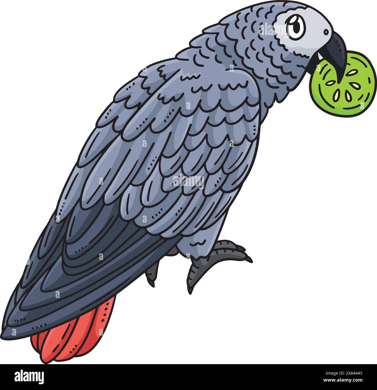 African Grey Parrot Bird Cartoon Colored Clipart Stock Vector Image ...