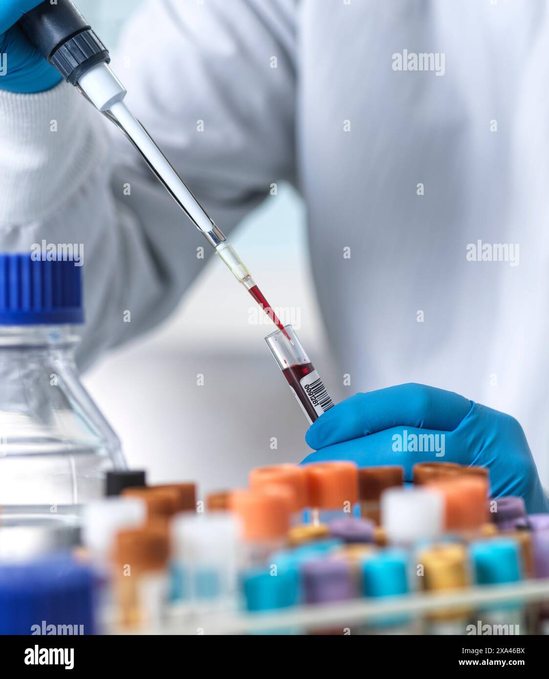Scientist pipetting blood sample in laboratory Stock Photo - Alamy