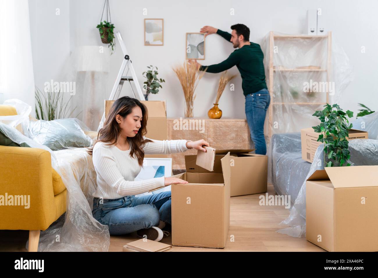 Organizing plants hi-res stock photography and images - Alamy