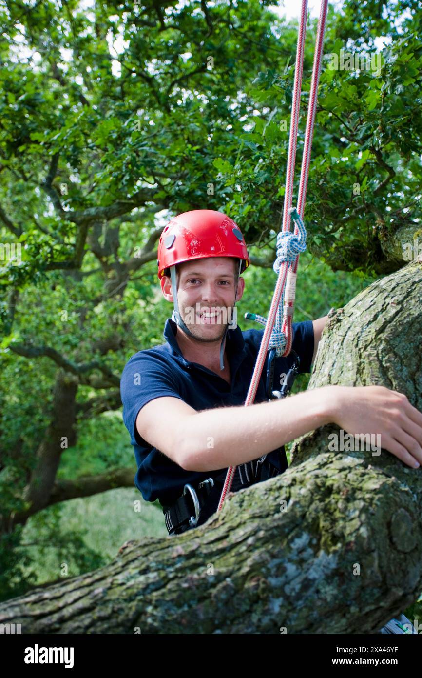 Man climbing a tree Stock Photo - Alamy