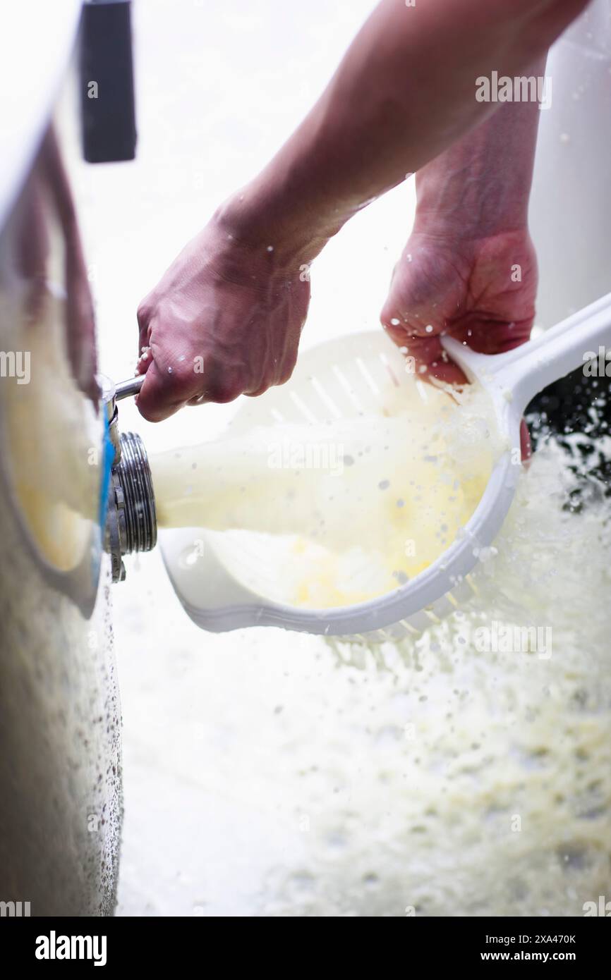 Close up of a man's hand washing cheese Stock Photo - Alamy