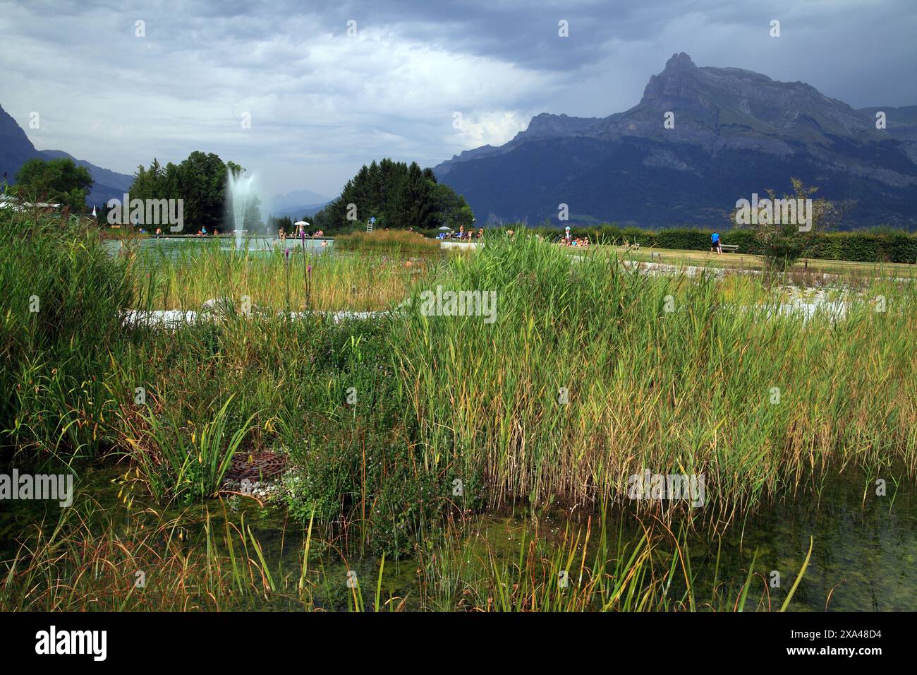 “Biotope” outdoor swimming pool, first public ecological swimming pool ...