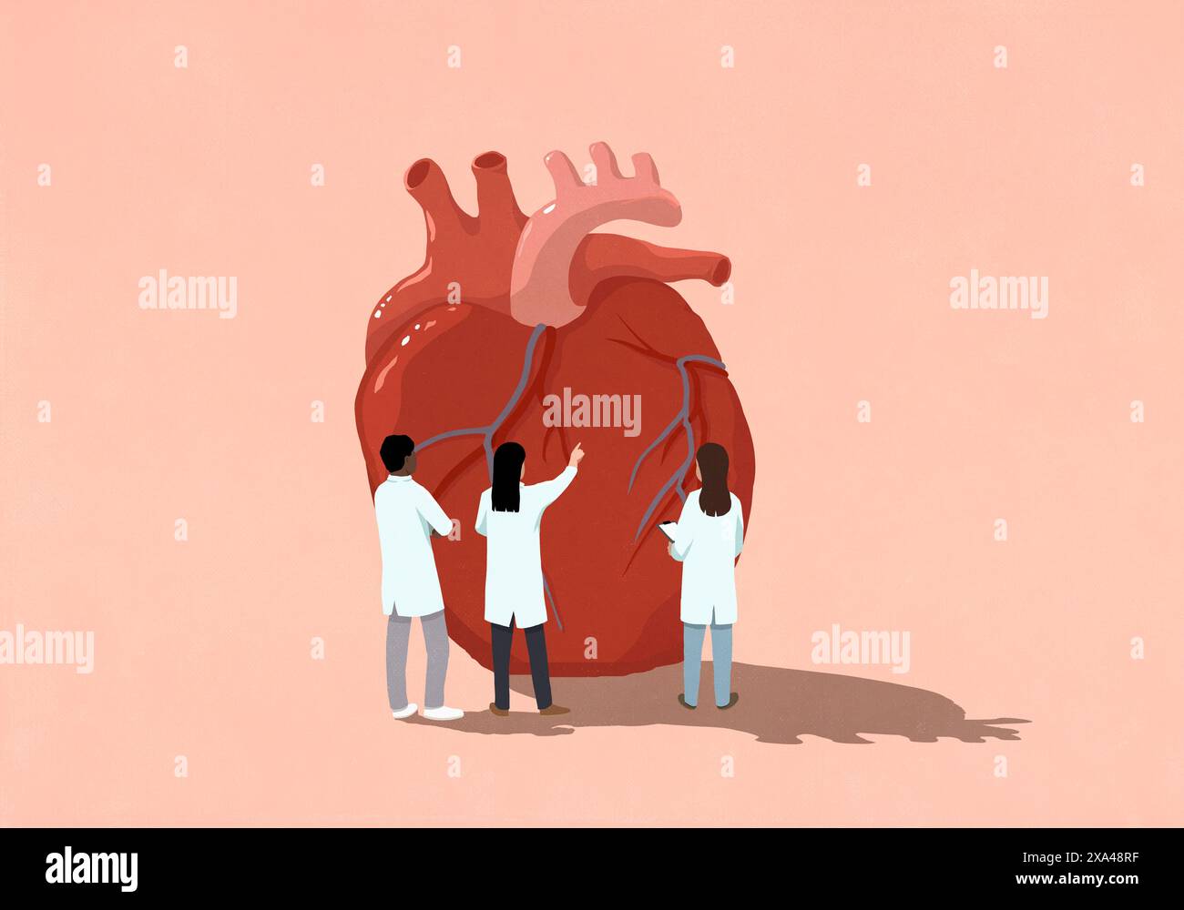 Cardiologists examining large heart on pink background Stock Photo - Alamy