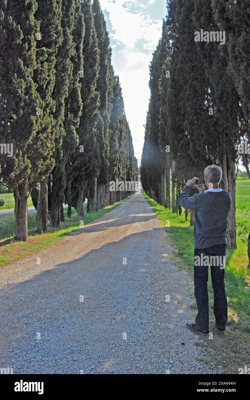 In Italy between Sinalunga and Torrita di Sienna in Tuscanny, a man ...