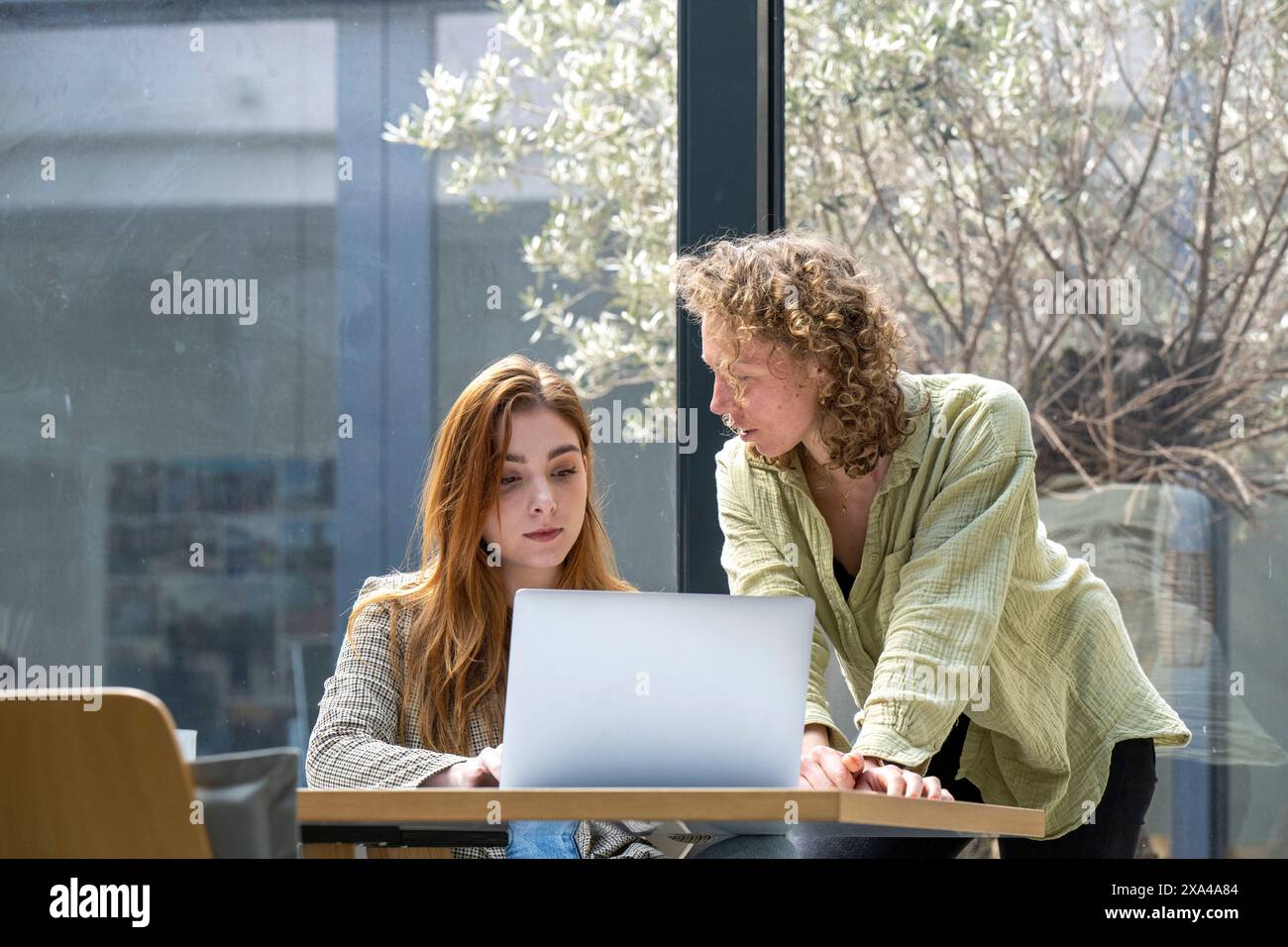 Two people are working together on a laptop, sitting near a window with ...