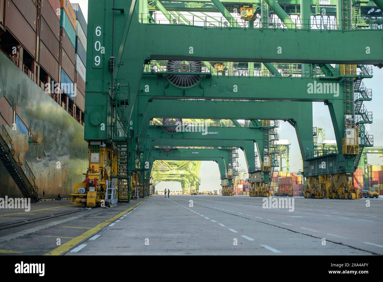 A busy container port with towering green gantry cranes lined up, facilitating the loading and ...