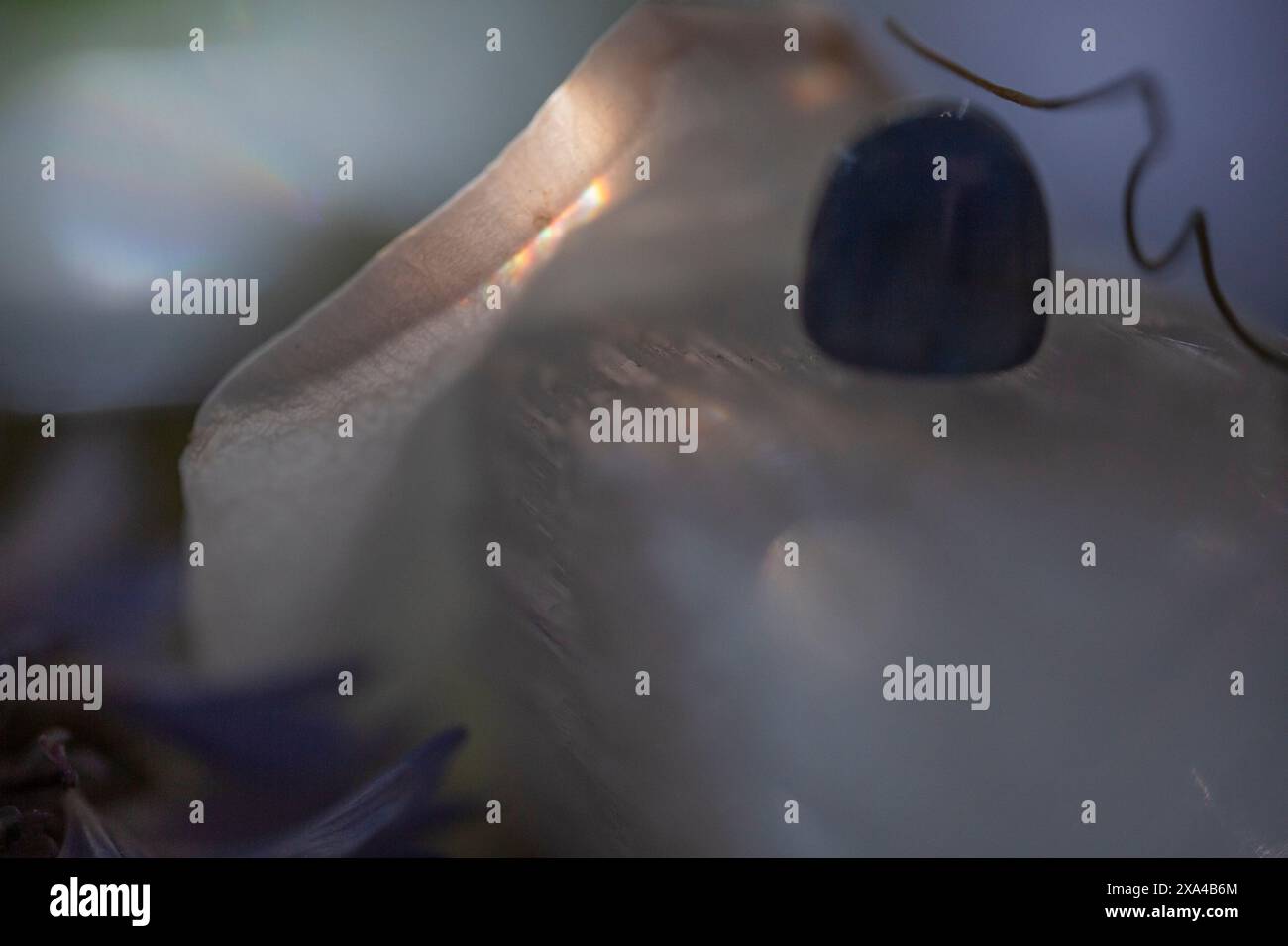 A close-up image of a translucent, silky fabric with a smooth blue ...