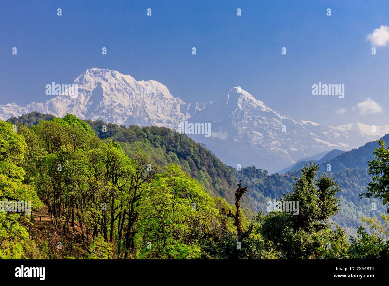Annapurna South, Mardi Himal and Machapuchare mountain summits snow ...