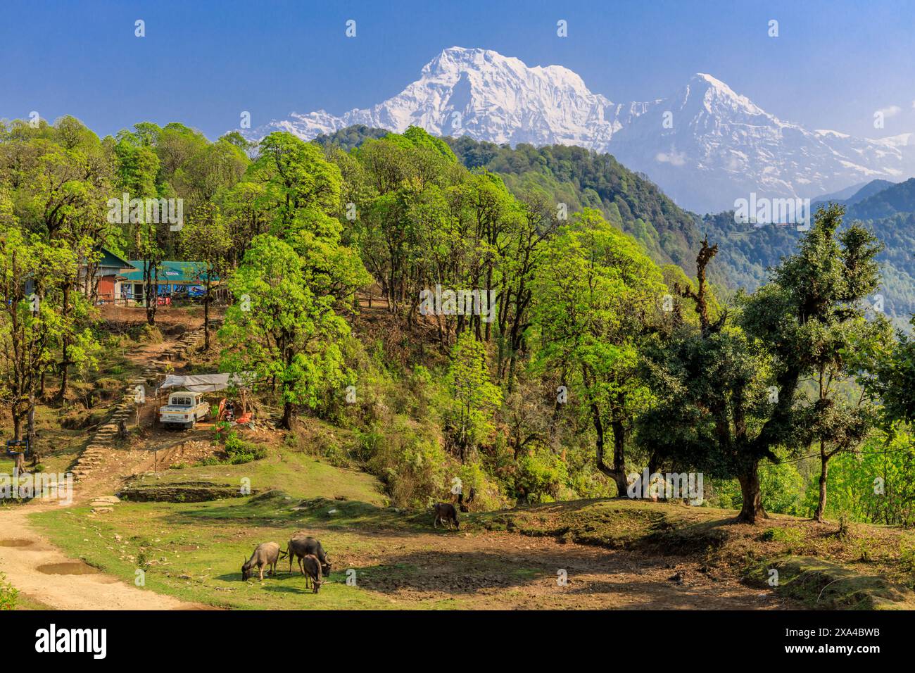 Annapurna South, Mardi Himal and Machapuchare mountain summits snow ...