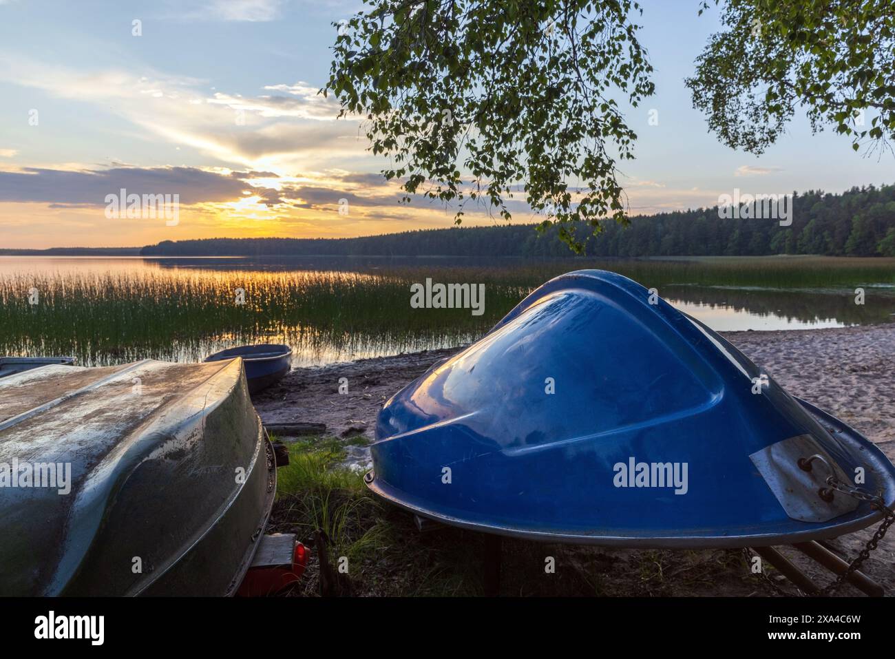 Small plastic rowboats lay head over heels on the lake coast under ...