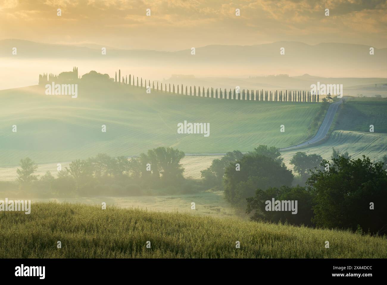 Tuscany, Italy. Typical Tuscan landscape with cypress trees in the ...