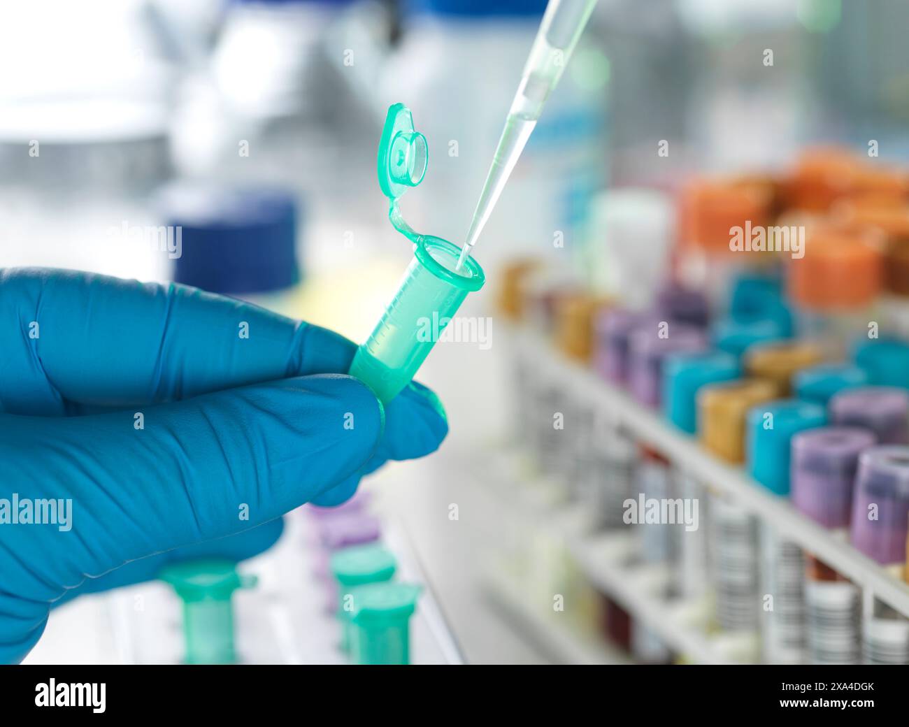 [various]Medical testing, Scientist pipetting sample into a vial ready ...