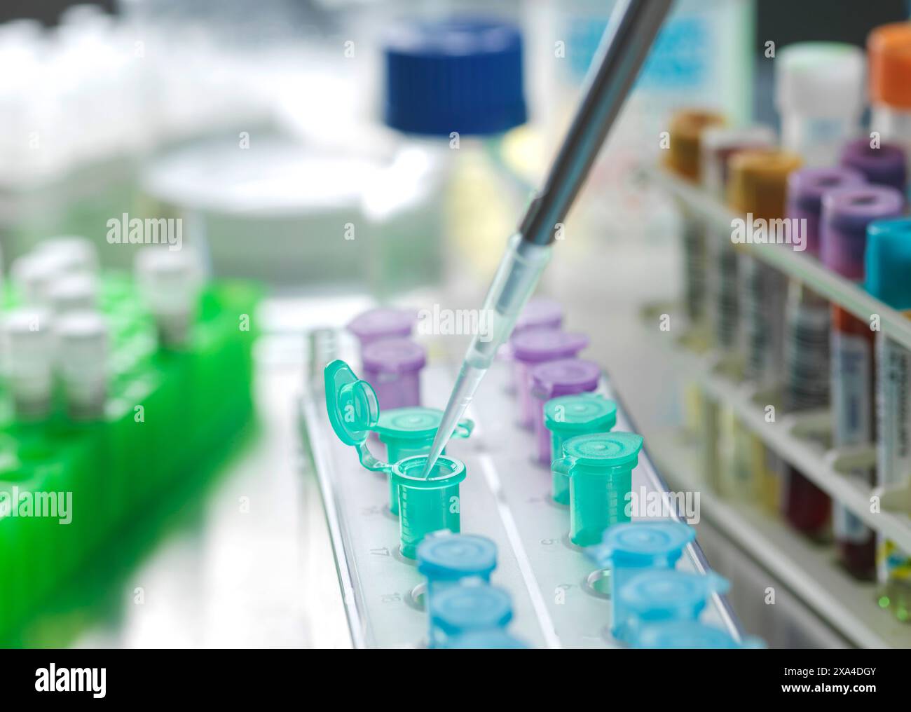 [various]Medical testing, Scientist pipetting sample into a vial ready ...