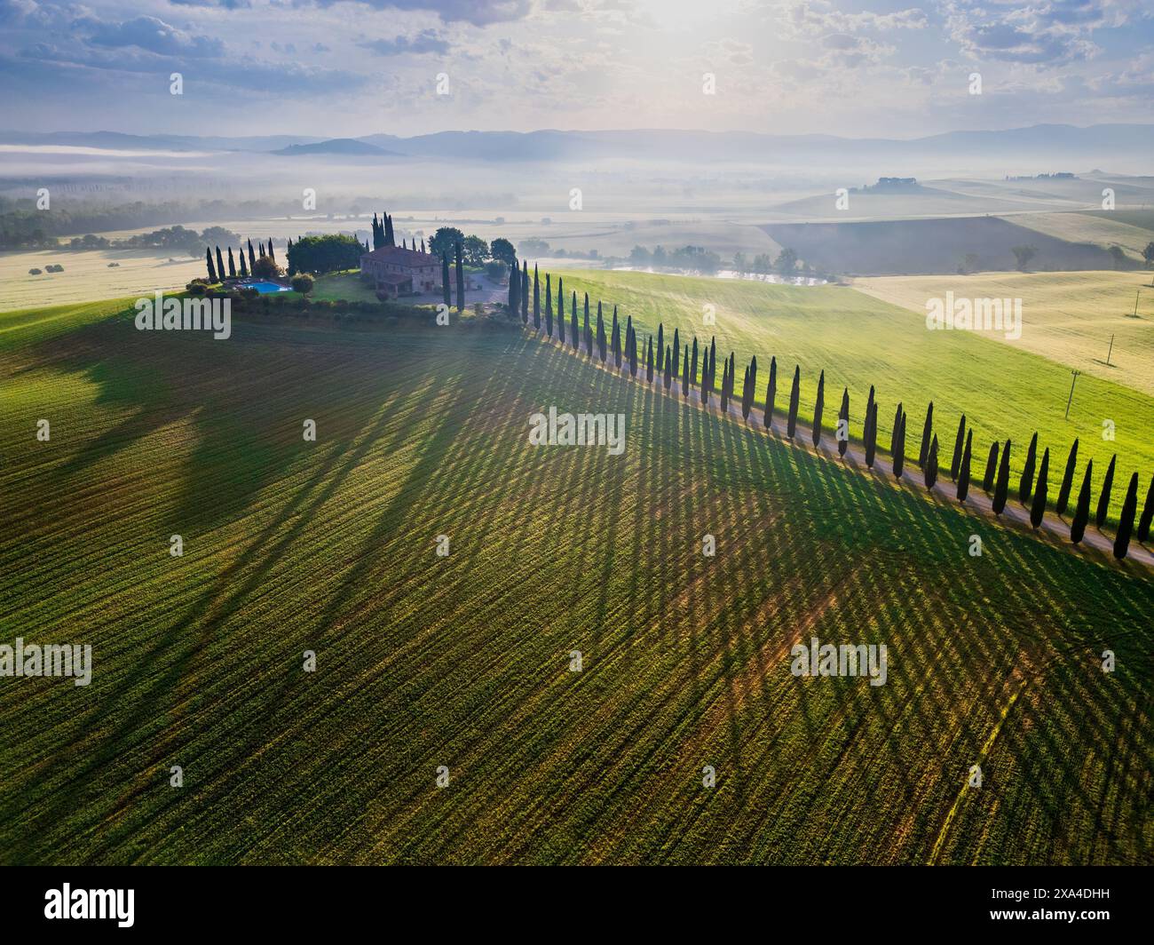 Tuscany cypress tree road hi-res stock photography and images - Alamy