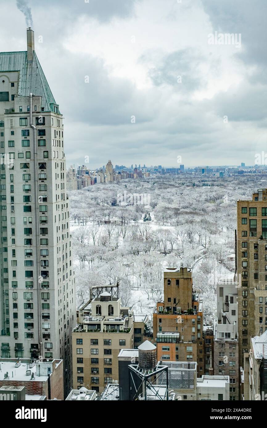 Showcasing tall buildings adjacent park hi-res stock photography and ...
