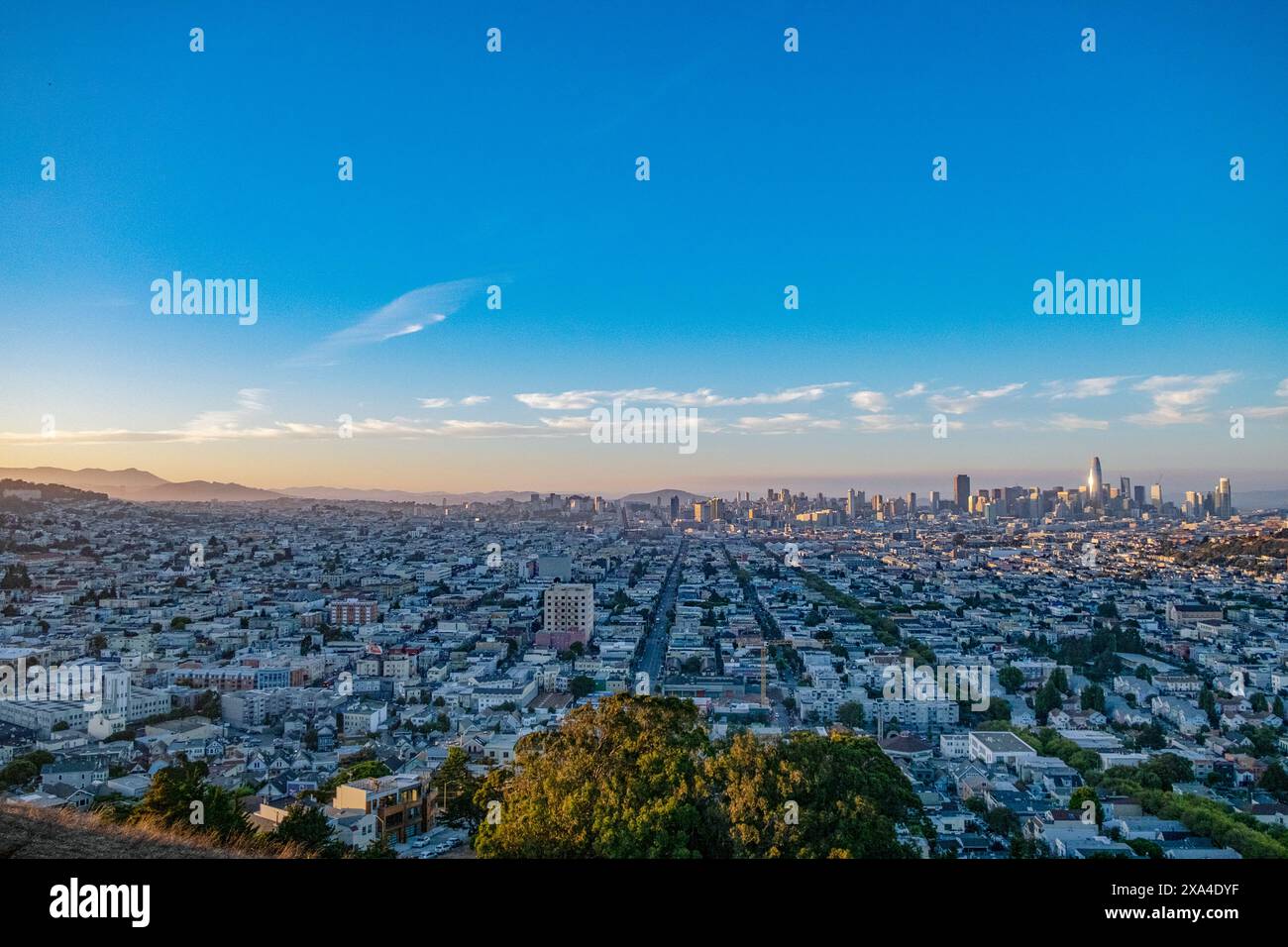 Showcases hi-res stock photography and images - Alamy