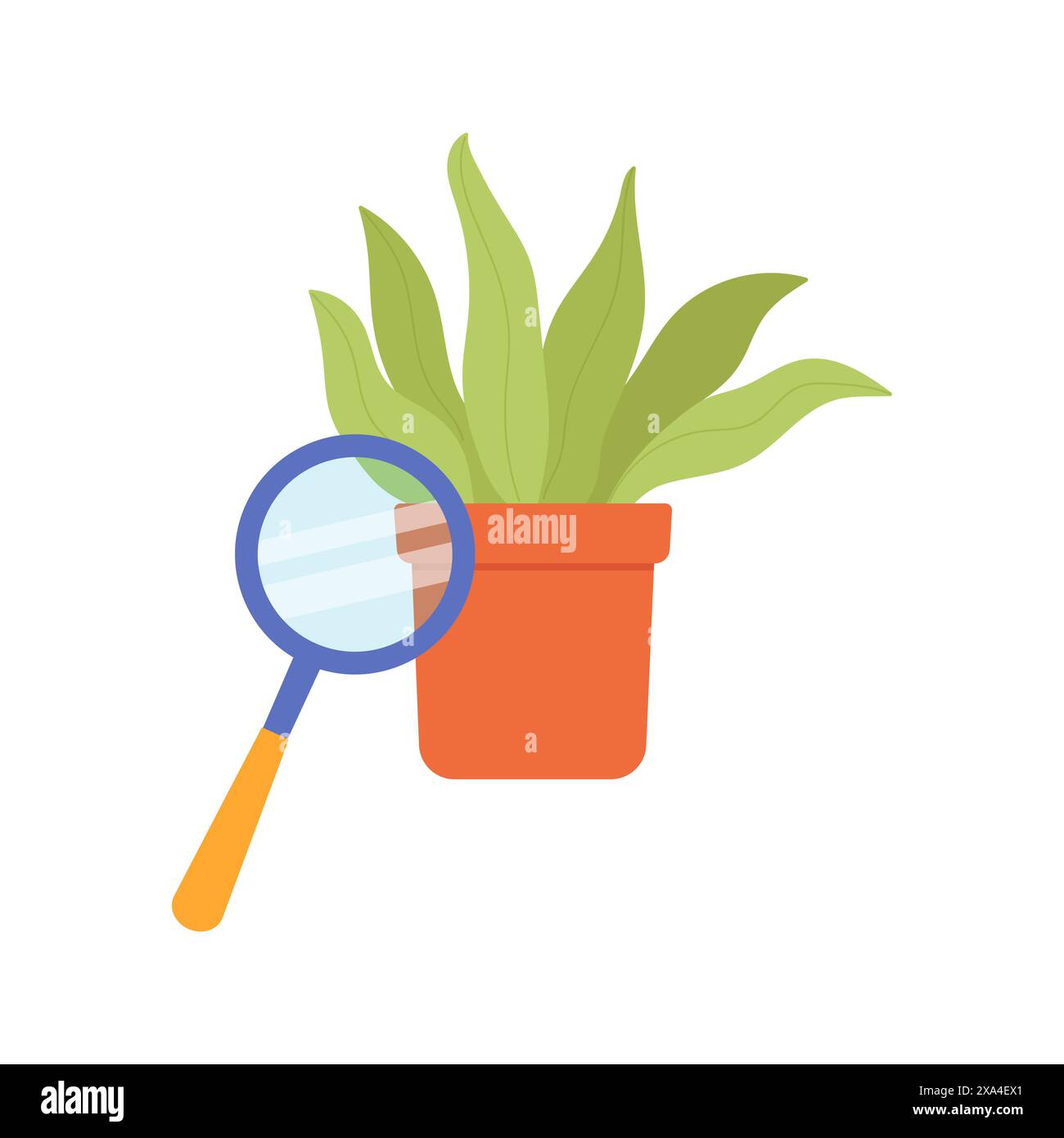 School magnifying glass to research green plant in pot in biology ...