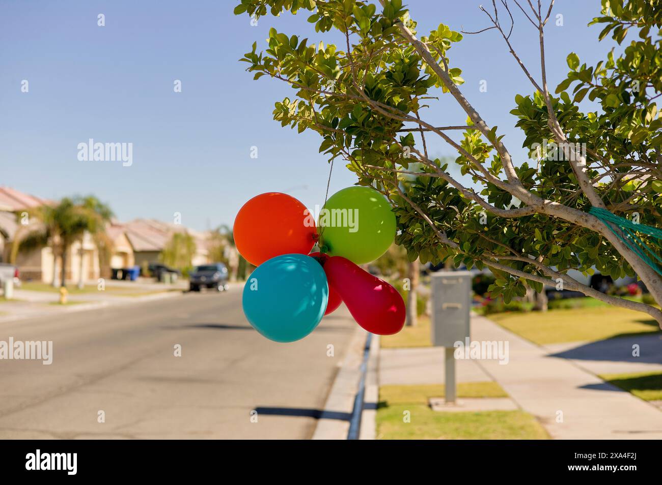 Colorful balloons hi-res stock photography and images - Alamy
