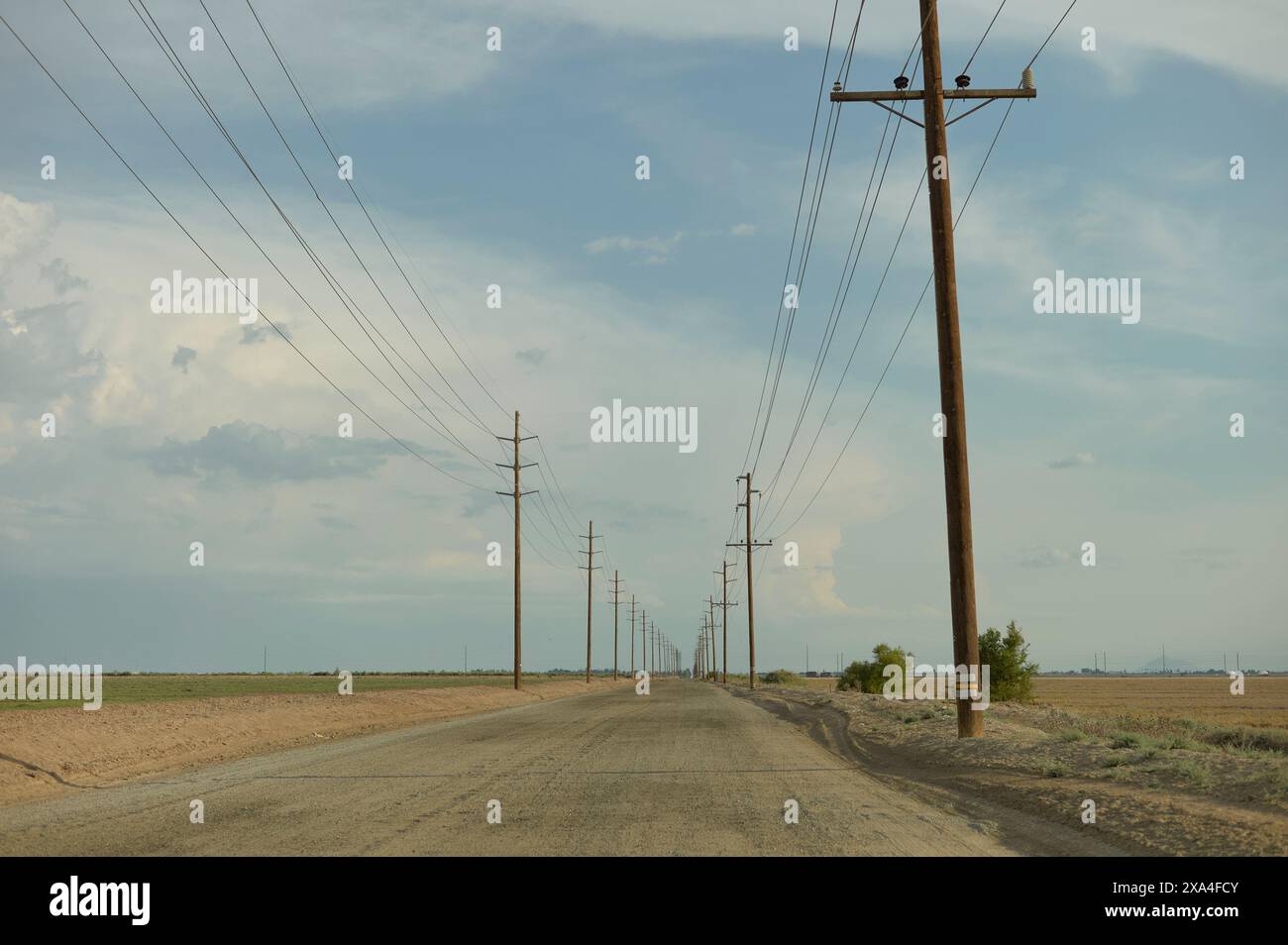 A dirt road stretches into the distance flanked by parallel rows of ...
