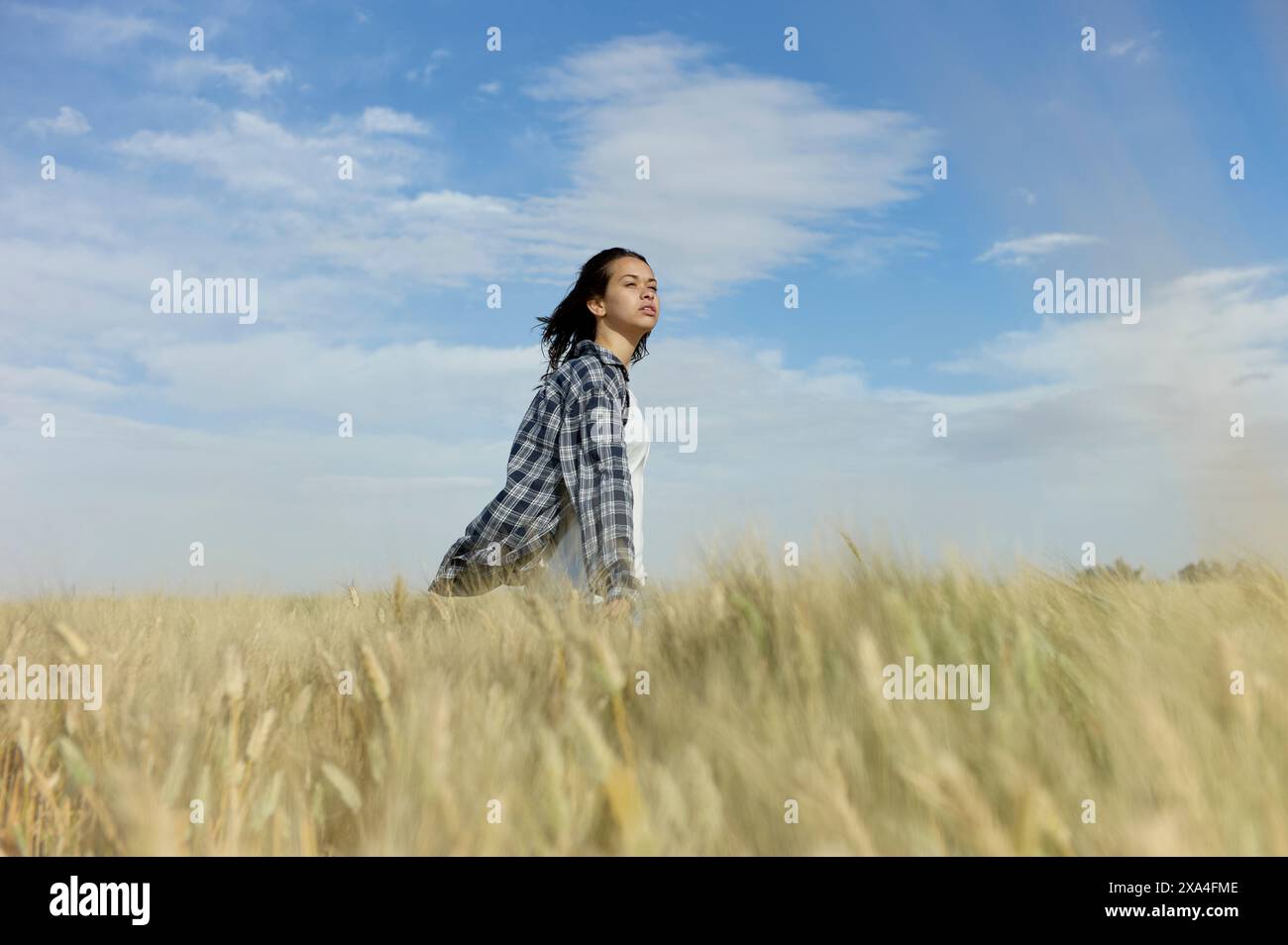 Woman stands golden wheat field clear blue sky overhead hi-res stock photography and images - Alamy