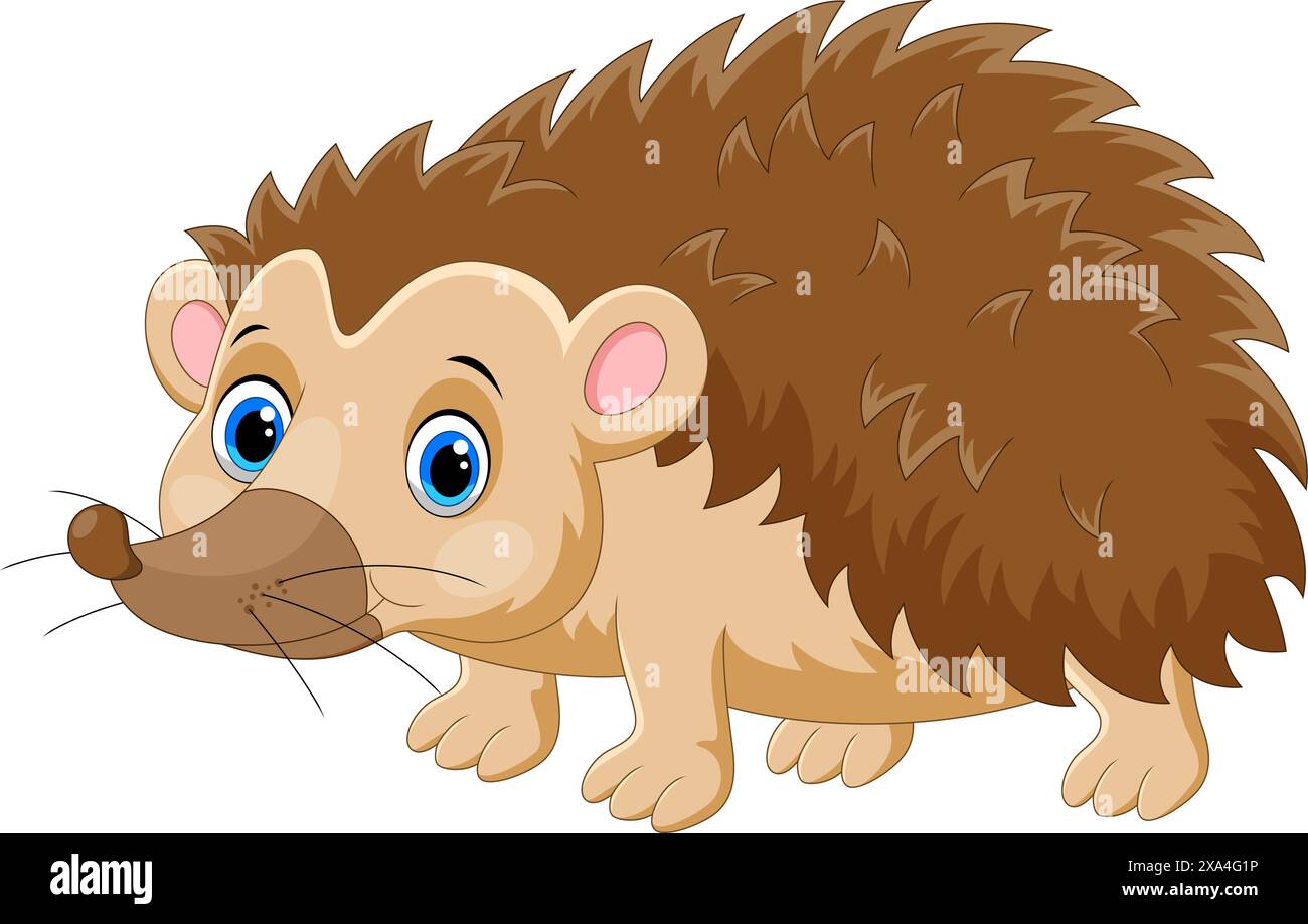Vector illustration of Cute baby hedgehog Stock Vector Image & Art - Alamy