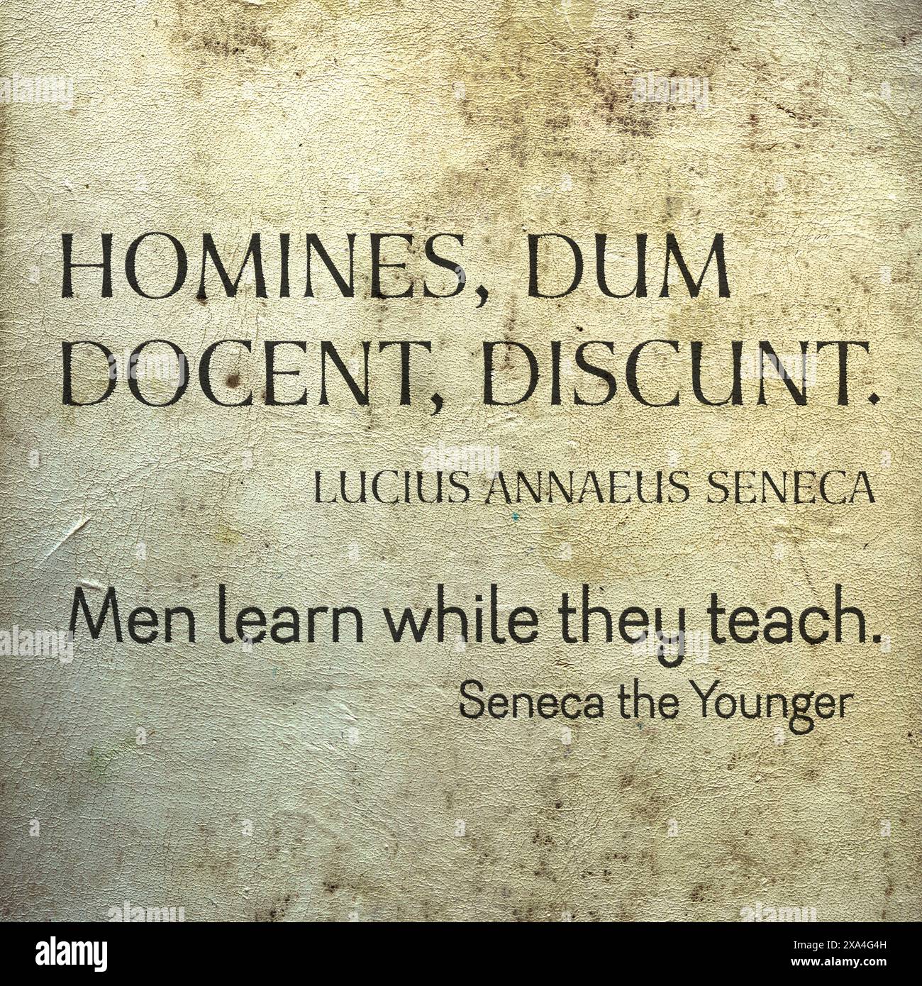 Men learn while they teach - original Latin quote with english ...
