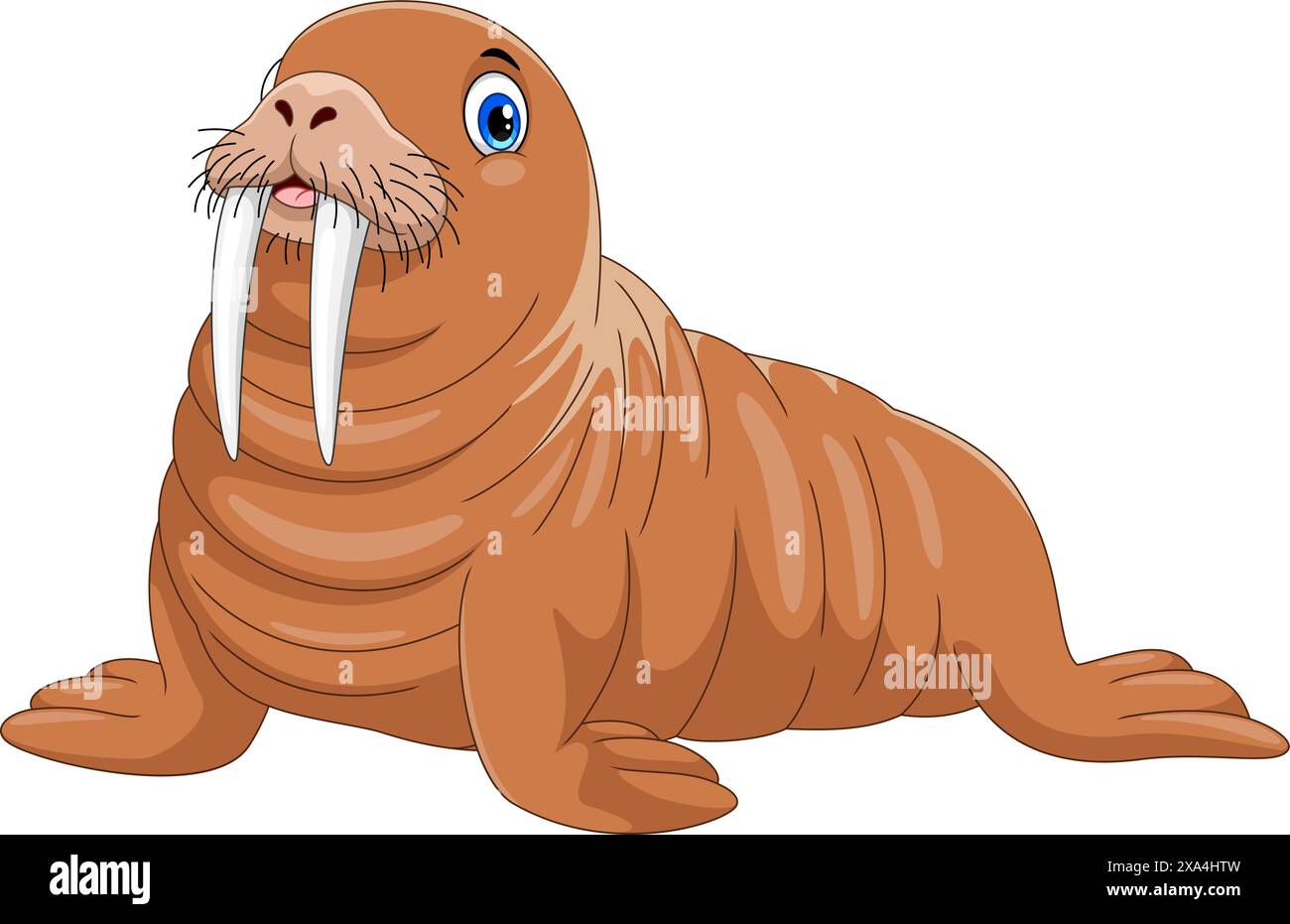 Vector illustration of Cute cartoon walrus on white background Stock ...