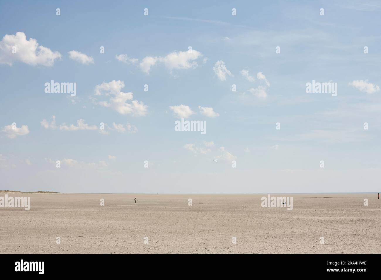 Emphasizing expansive nature beach setting hi-res stock photography and ...