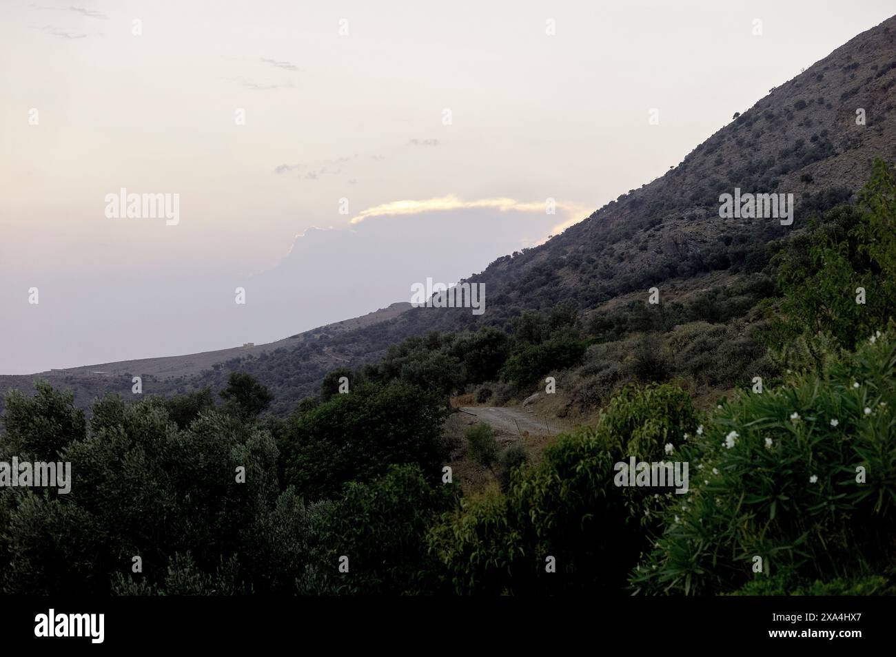 Winding dirt path framed hi-res stock photography and images - Alamy