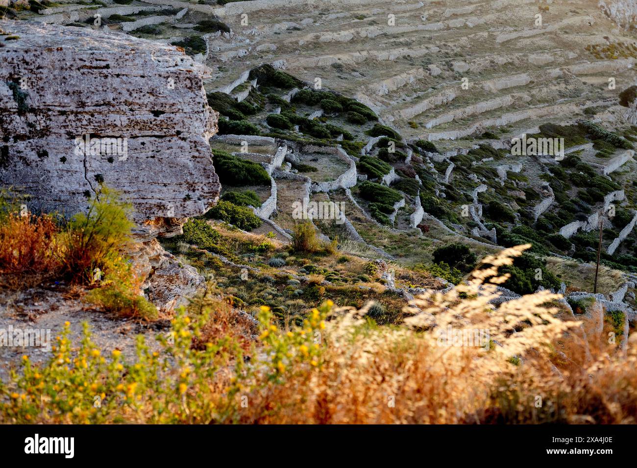 Highlighting textures terrain vegetation hi-res stock photography and ...