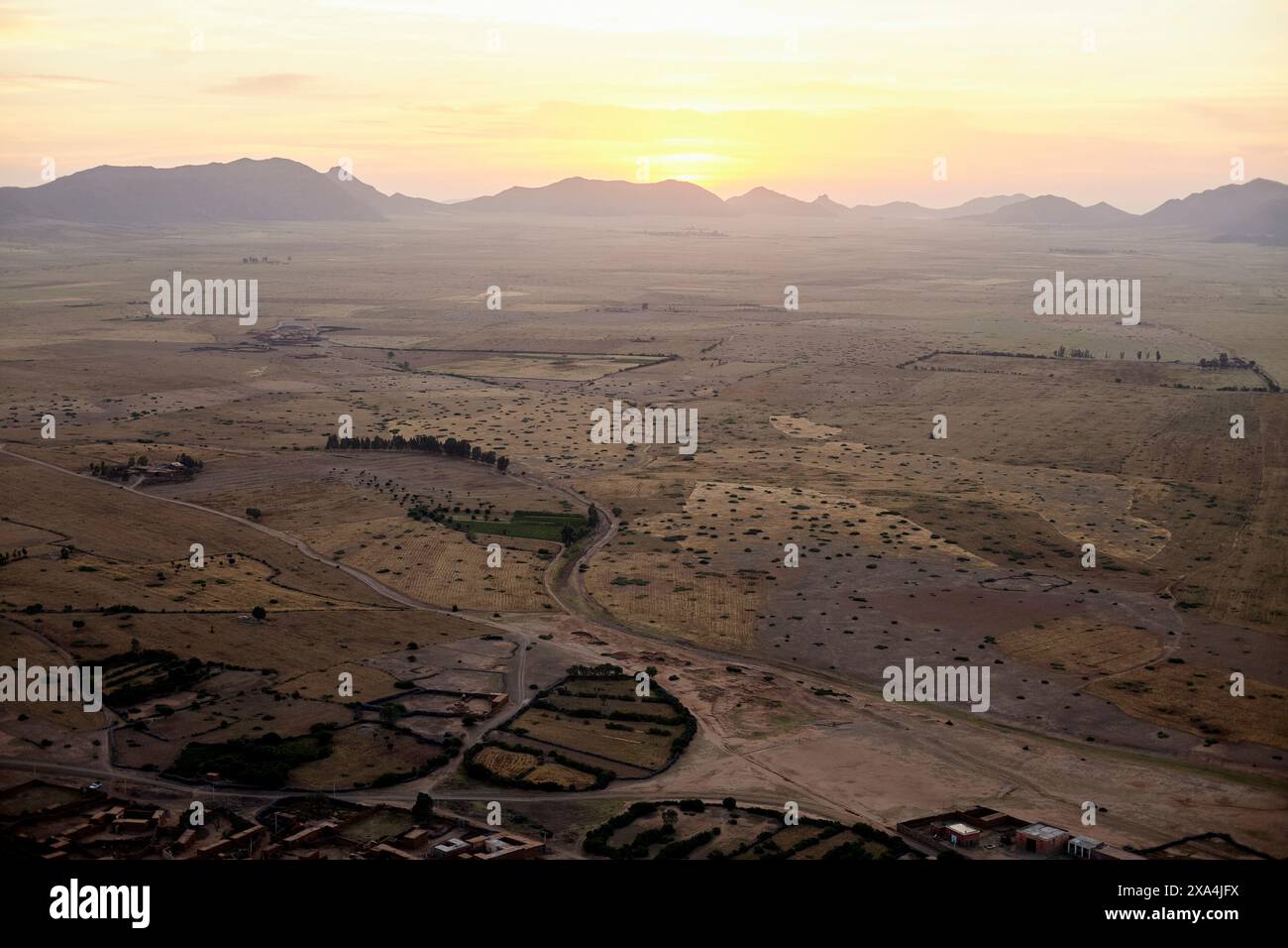 Areas dotted trees under warm hi-res stock photography and images - Alamy