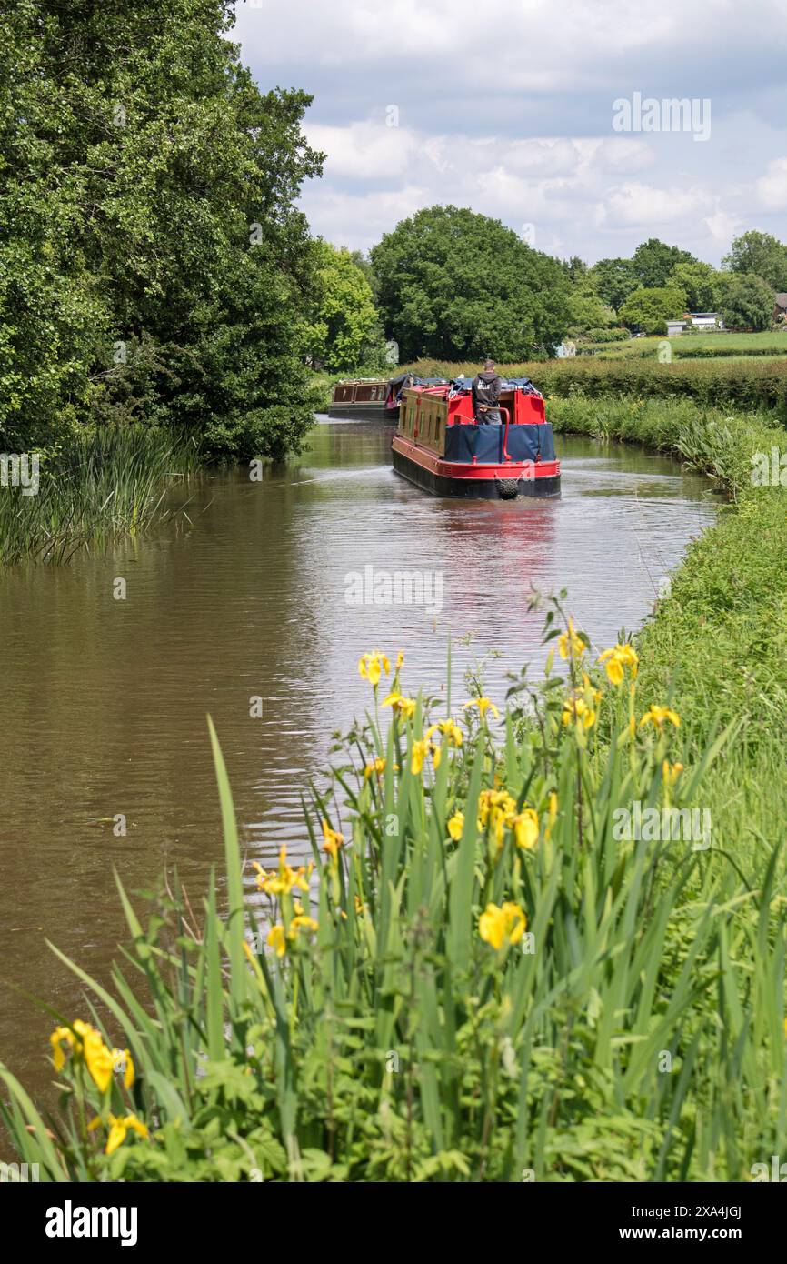 The Worcester & Birmingham Canal on the Tardebigge lock flight ...