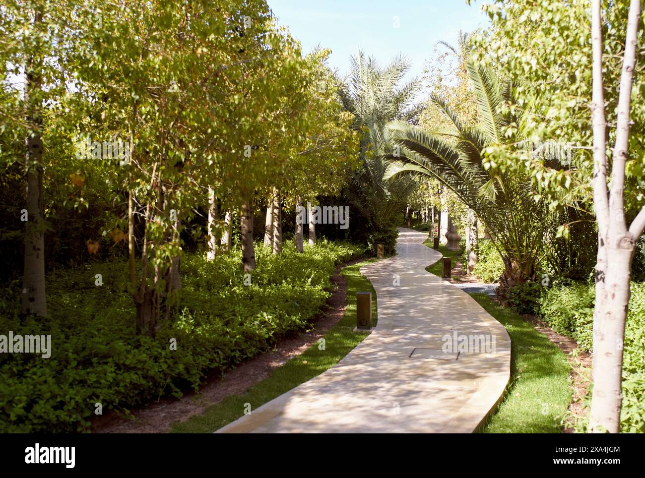 A serene garden pathway lined with a variety of lush trees and shrubs ...