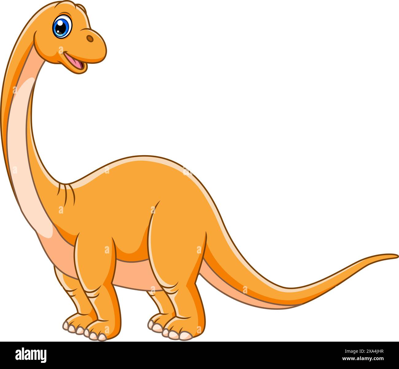 Cartoon funny Brontosaurus dinosaur isolated on white background Stock Vector Image & Art - Alamy