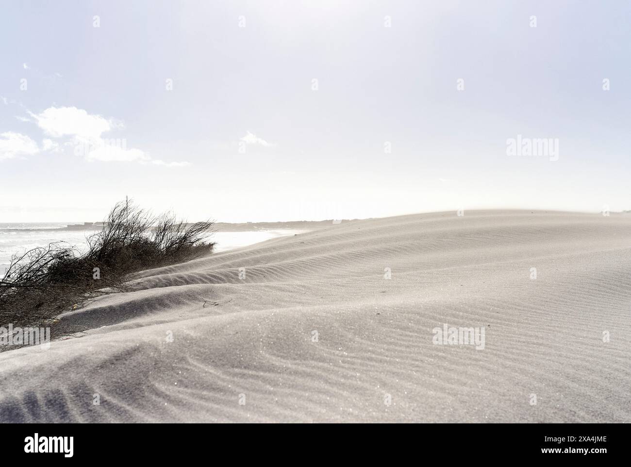 Windswept sand dunes under a bright sky on a coastal beach with waves ...