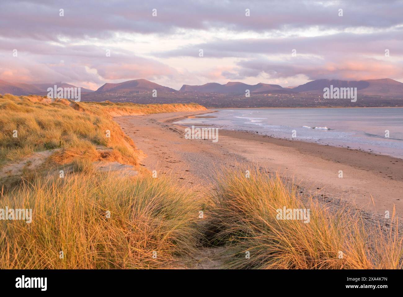 Newborough Warren beach and Ynys Llanddwyn National Nature Reserve ...