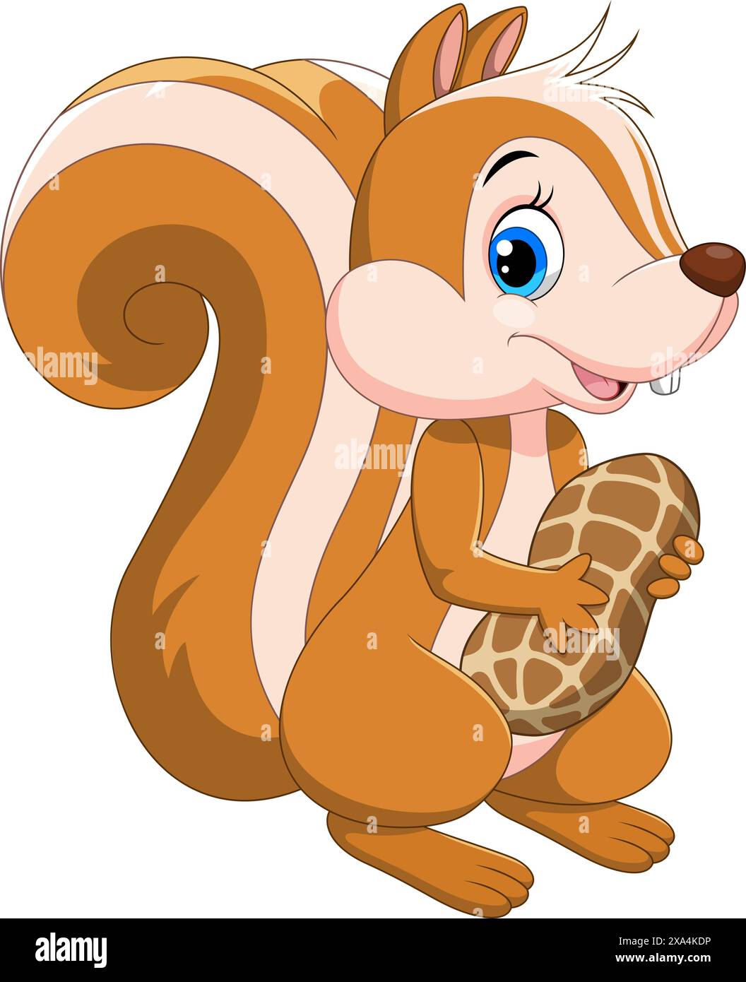 Cartoon squirrel holding a nut Stock Vector Image & Art - Alamy