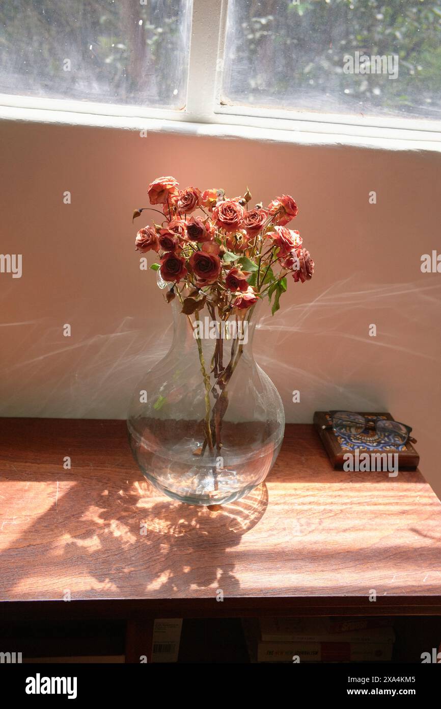 A vase of withered roses sits on a wooden surface bathed in sunlight by ...